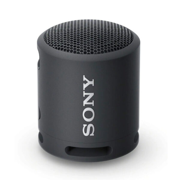 Sony F-V120 Vocal Microphone | Celltronics.lk
