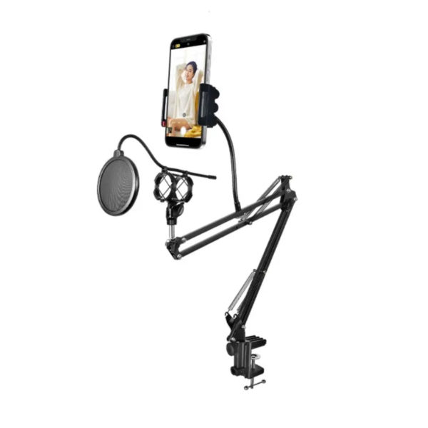 Remax CK100 Pro Mobile Recording Studio Dual-Use Base Microphone Stand ...